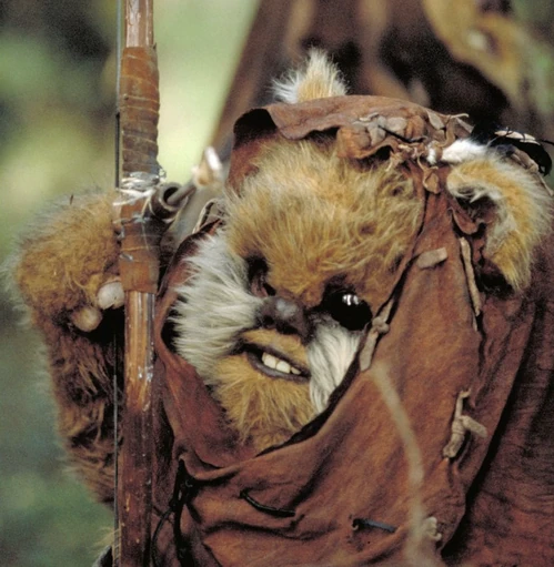 Unidentified Ewok (hang glider) 2 | Wookieepedia | Fandom