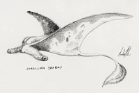 Corellian sea ray | Wookieepedia | Fandom