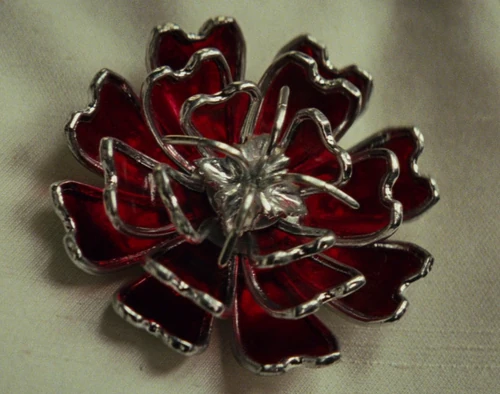 Plom bloom | Wookieepedia | Fandom