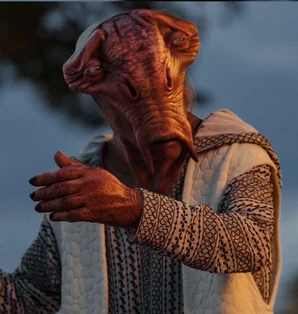 Progetto:Canto Bight | Jawapedia | Fandom