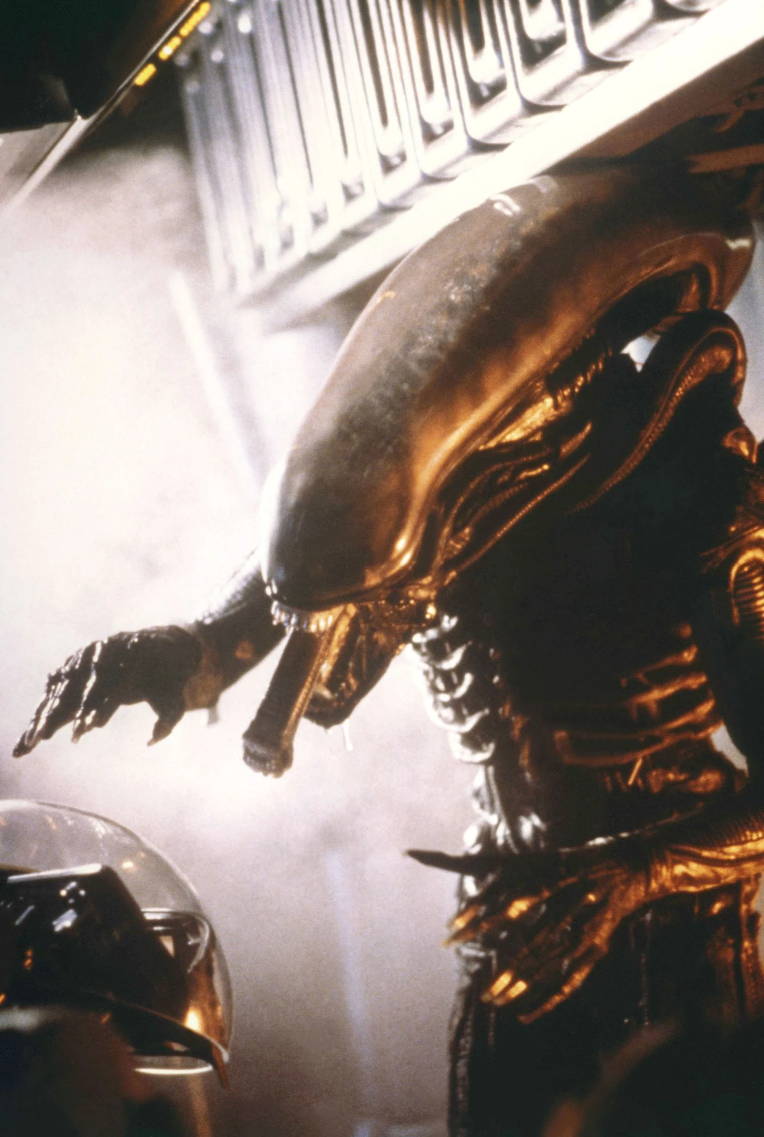 Xenomorph | Wookieepedia | Fandom