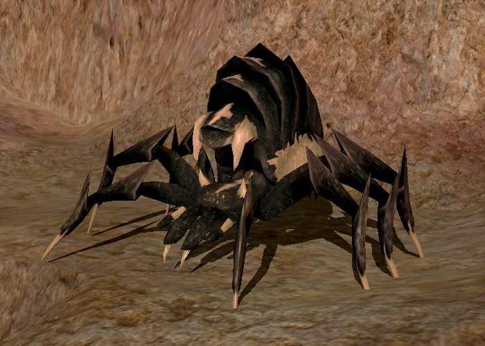 Bane Back spider | Wookieepedia | Fandom