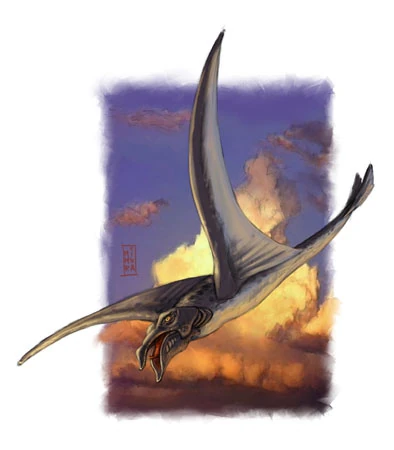 Thranta | Star Wars Wiki | Fandom