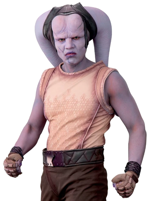 Qin | Wookieepedia | Fandom