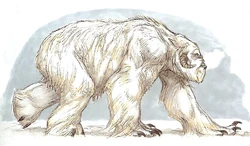 Wampa | Wookieepedia | Fandom