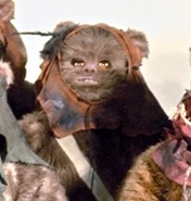 Galerij van Ewoks | Star Wars Wiki | Fandom