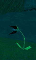 Dart flower | Wookieepedia | Fandom