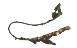 Nightkelp flail | Wookieepedia | Fandom