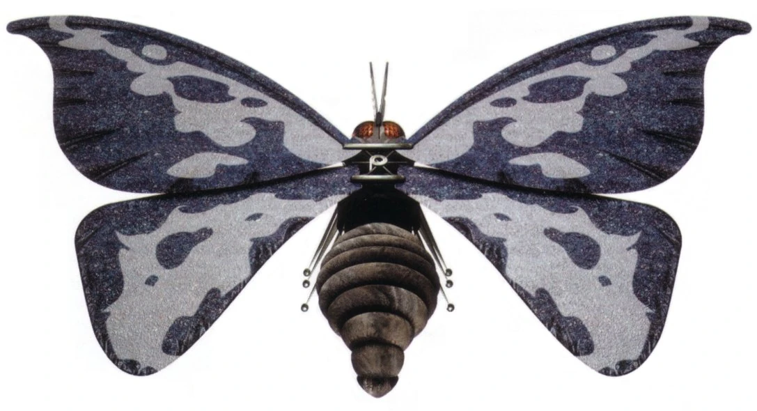 Moon moth | Wookieepedia | Fandom