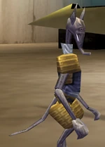 Ciasi | Wookieepedia | Fandom