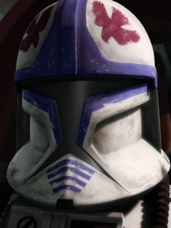 Hawk | Star Wars Wiki | Fandom