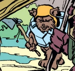 Kettch (Endor) | Wookieepedia | Fandom