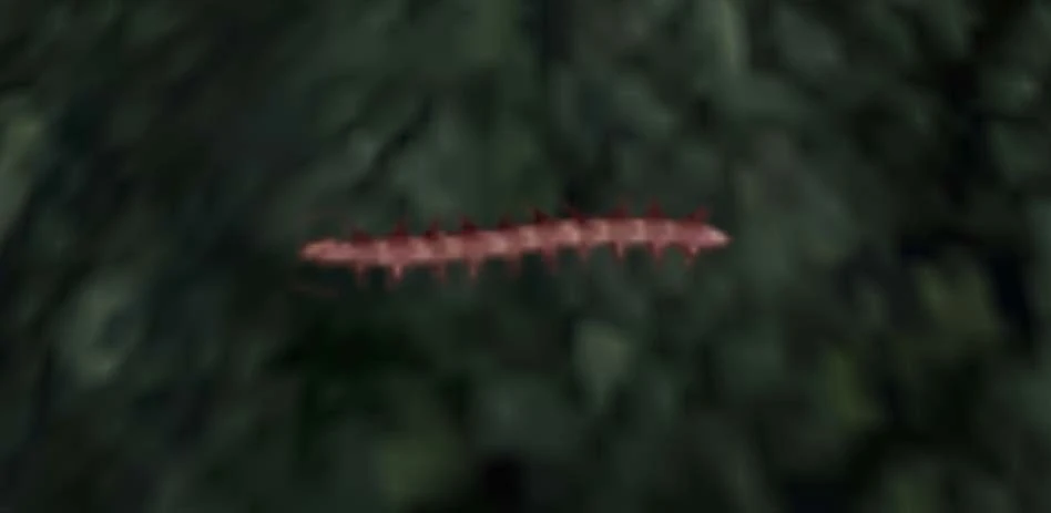 Centipede | Wookieepedia | Fandom