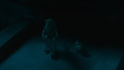 Ikk | Wookieepedia | Fandom