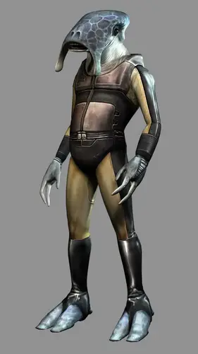 Selkath | Jawapedia | Fandom