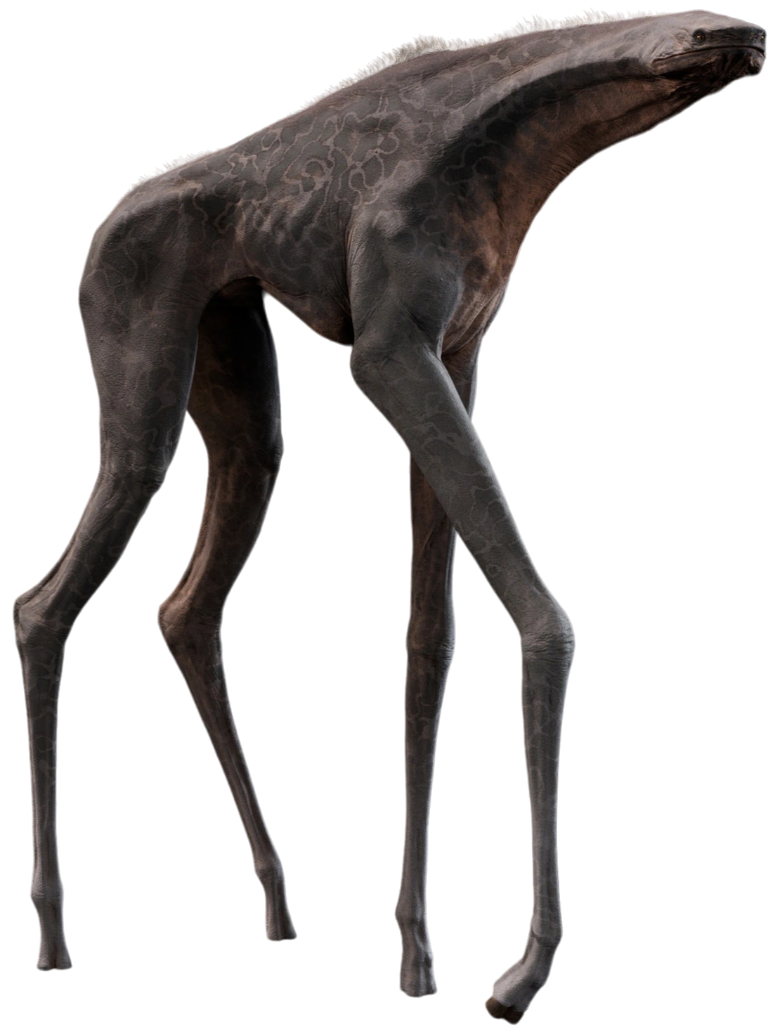 Spamel | Wookieepedia | Fandom