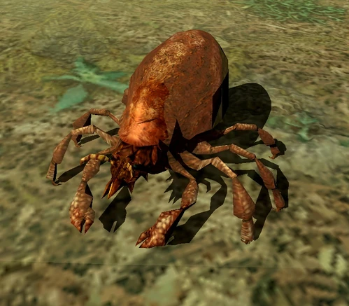 Bark mite | Wookieepedia | Fandom