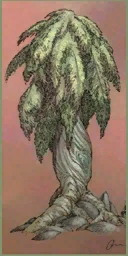 Boffa Plant | Wookieepedia | Fandom