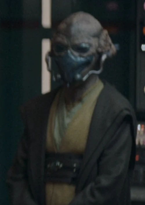 Ithia Paan | Wookieepedia | Fandom