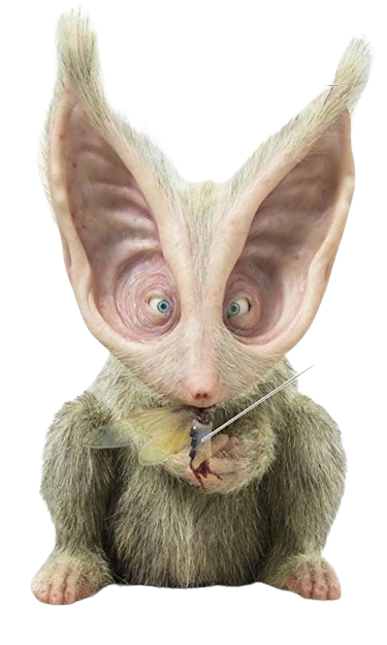 Oki-poki | Czech Star Wars Wiki | Fandom