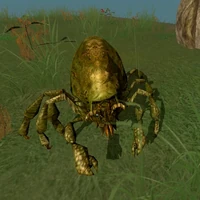 Bark mite | Wookieepedia | Fandom