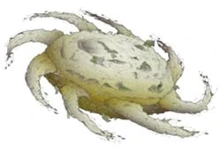 Koros-Strohna | Czech Star Wars Wiki | Fandom