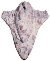 MC80 Liberty Type Heavy Star Cruiser | Wookieepedia | Fandom