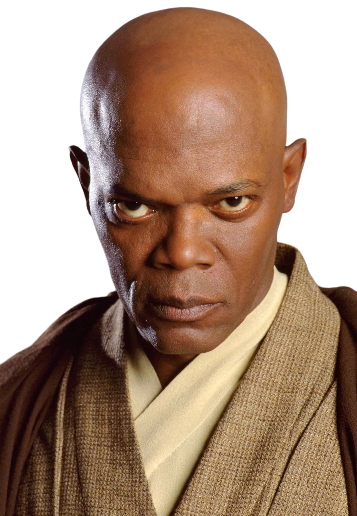 Mace Windu | Wookieepedia | Fandom