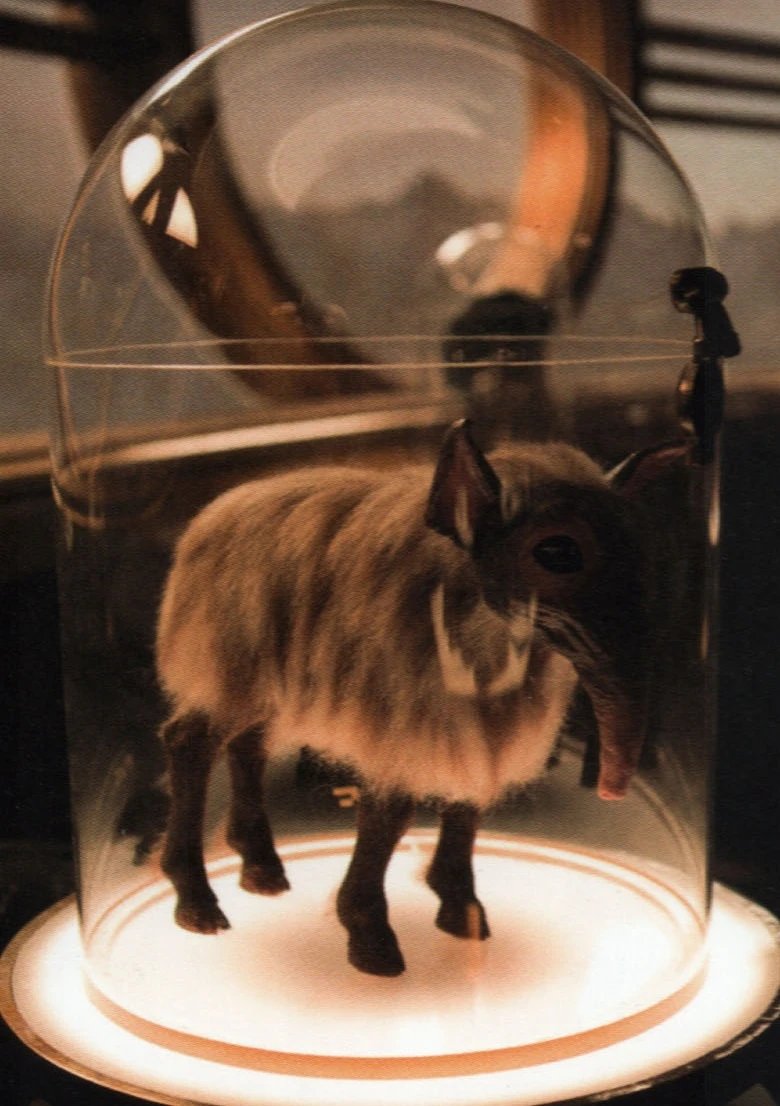 Runyip | Star Wars Wiki | Fandom