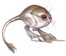 Tooke | Star Wars Wiki | Fandom