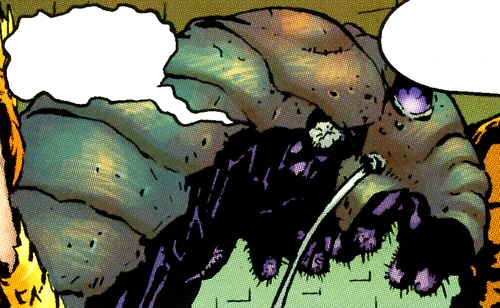 Chog | Wookieepedia | Fandom