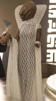 Progetto:Canto Bight | Jawapedia | Fandom