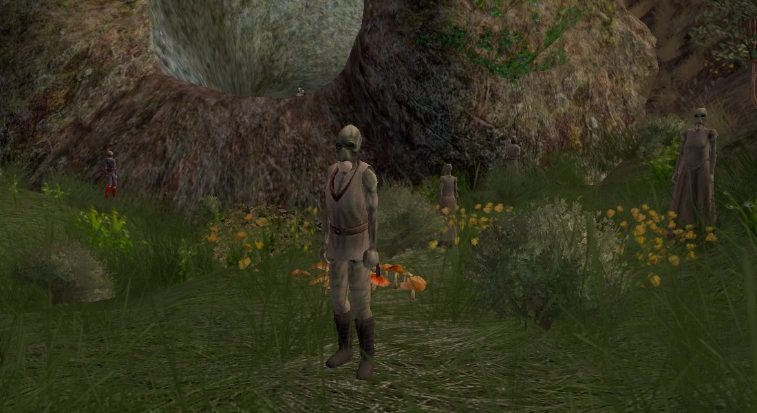 Lost Aqualish | Wookieepedia | Fandom