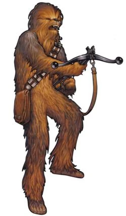 Rwook | Czech Star Wars Wiki | Fandom