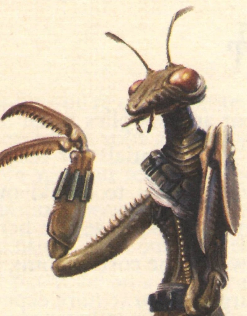 Ratak Raam'luk | Wookieepedia | Fandom