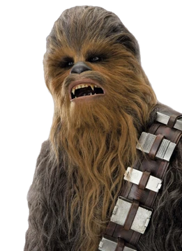 coloring pages chewbacca
