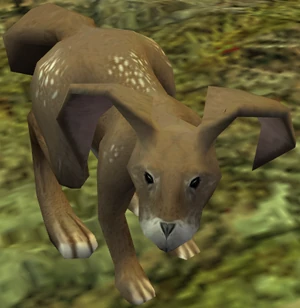 Chandrila | Wookieepedia | Fandom