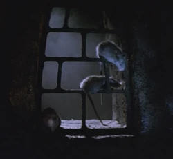 Tatoo-Rat | Star Wars Wiki | Fandom
