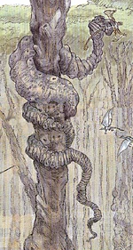Dagobah python | Wookieepedia | Fandom