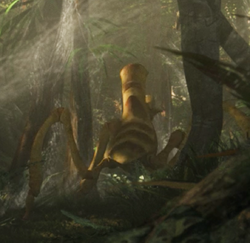 Netcaster | Wookieepedia | Fandom