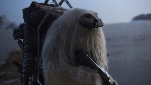 Moroff | Wookieepedia | Fandom