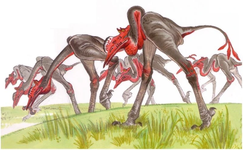 Stalking Bird | Star Wars Wiki | Fandom