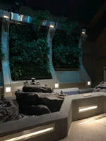 Silver Sea | Wookieepedia | Fandom