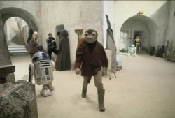 Takeel | Star Wars Wiki | Fandom