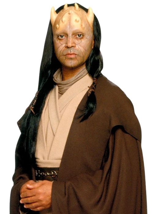 Hassani Shapi | Wookieepedia | Fandom