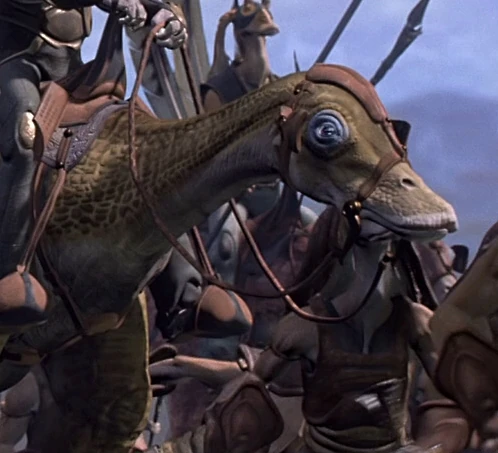 Swamptoe | Star Wars Wiki | Fandom