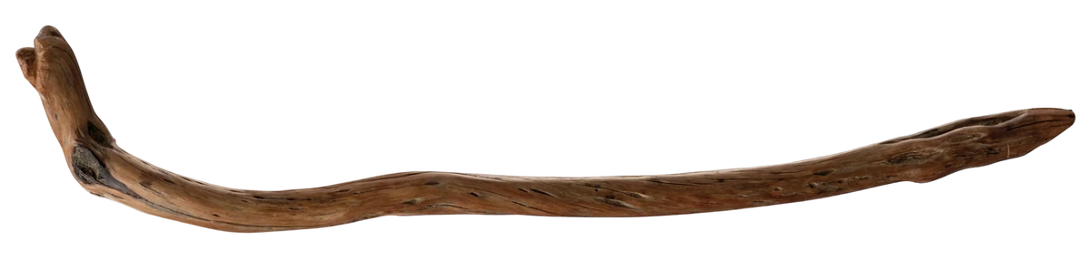 Wood | Wookieepedia | Fandom