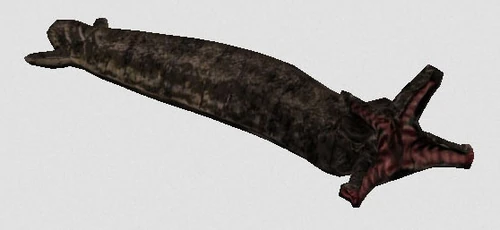 Forage worm | Wookieepedia | Fandom