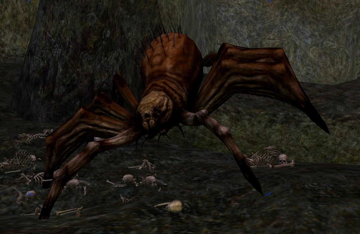 Mother Ves'ad | Wookieepedia | Fandom