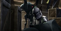 Green Leader (clone trooper) | Wookieepedia | Fandom